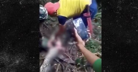 Missing Mother Of Four Found Inside Belly Of 20 Foot Python After Being Swallowed Whole The