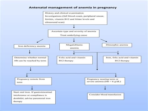 Anemia In Pregnancy