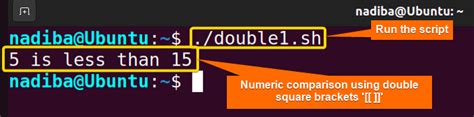 Using Double Square Brackets “ ” In If Statement In Bash Linuxsimply