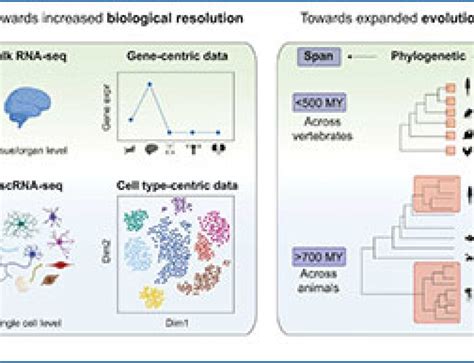 A Brief Overview Of Single Cell Rna Sequencing Technologies And