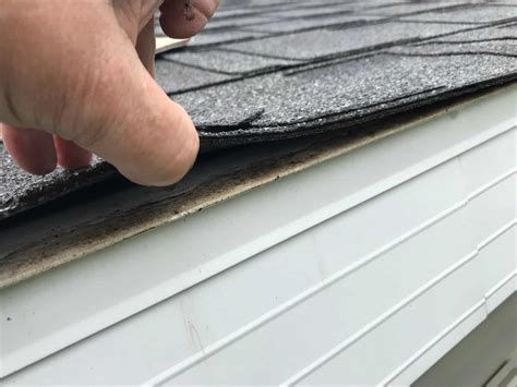 Types Of Roof Damage To Watch For Picture Guide