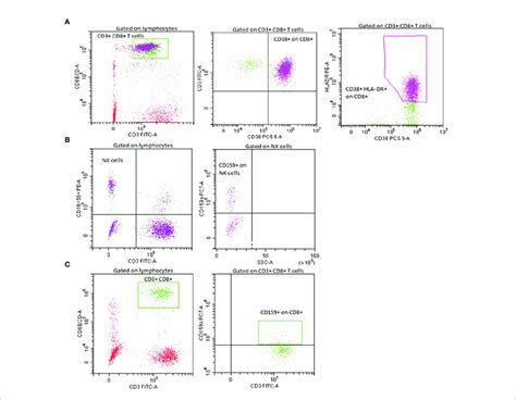 Representative Flow Cytometry Plots Of Lymphocyte Activation And Download Scientific Diagram