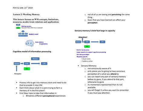 Psy12 Lec2 Lecture Notes Lecture 2 Lecture 2 Working Memory This Lecture Focuses On Wm