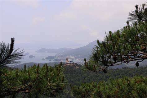 경남 고성 여행 가볼만한곳 추천코스 그레이스 정원 수국 상리연꽃공원 문수암 카페 도어스 네이버 블로그