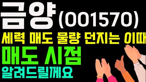 금양 주가전망 금양 연일 상승세 언제 매도해야하나 매도시점 알려드릴게요금양 금양주가 금양주가전망 Youtube