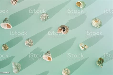 햇빛 조개 민트 그린 폰에 소라 세련된 정물 여름 바다 테마 추상 자연 플랫 레이 최소 스타일 트렌드 기하학적 패턴 그라데이션에 조개껍데기가 있는 상위 뷰 여름 패턴 터키석