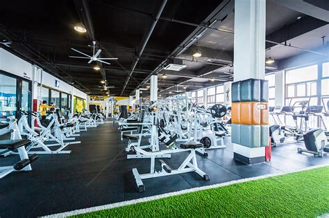 健身房高清图片下载 正版图片501088658 摄图网