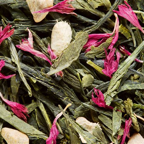 Miss Dammann • Roy