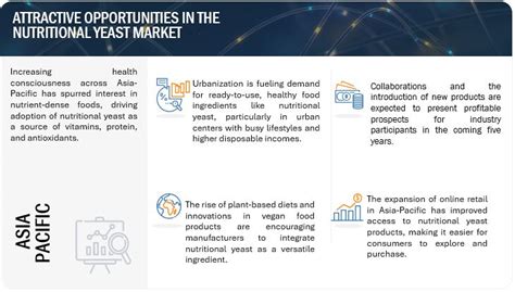 Nutritional Yeast Market Share Forecast Growth Analysis And Opportunities