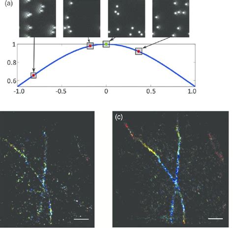 Pdf Aberrations And Adaptive Optics In Super Resolution Microscopy