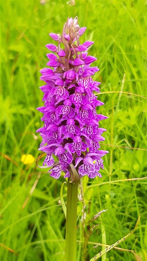 Buses Matkules Pilskalns Added Buses Matkules Pilskalns