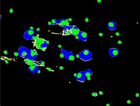 Pixel Classification Results Download Scientific Diagram