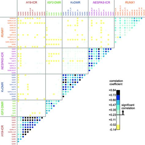 Correlation Matrix Of Dna Methylation Levels Between All Cpg Units The Download Scientific