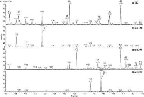 Gas Chromatograms Sample 3 A Total Ion Chromatogram B Ion