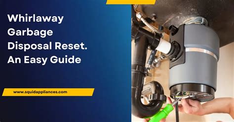 A Complete Guide To Whirlaway Garbage Disposal Reset Squidappliances