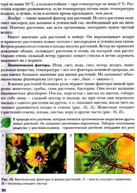 Учебник биология 6 класс Пономарева читать онлайн