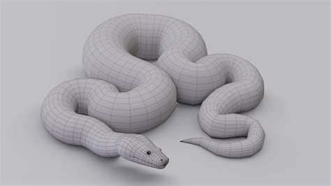 Burmese Python Bundle 3d Model By Dibia Digital