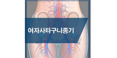 여자사타구니종기 생기는 이유와 대처하는 방법 네이버 블로그