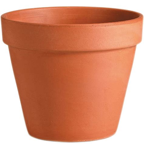 Terracotta Plant Pot 22cm Wilko