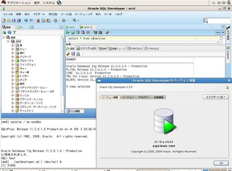 Oracle Database 11g Release 2 112 Installed Inhouse Wmo6hashblog