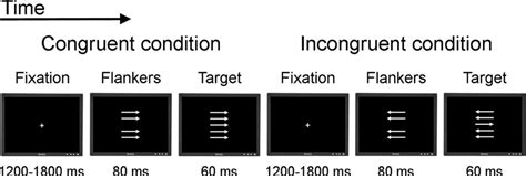 Schematic Illustration Of The Flanker Task Download Scientific Diagram