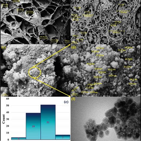 Ft Ir Spectra Of A Freeze Dried Form Of Flaxseed Mucilage Hydrogel Download Scientific
