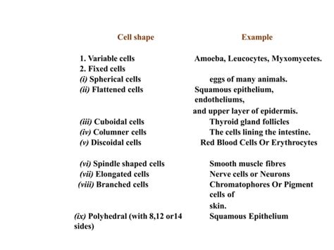 Diversity Of Cell Shape And Size Pptx