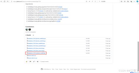 Ffmpegmediamtxvlc 简单实现视频流的推流拉流效果（详细）mediamtx 推流 Csdn博客