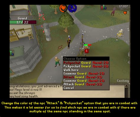 Please Implement So We Can See Which Npc We Are In Combat With R 2007scape