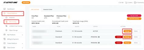 How To Manage Dns Records Via Portal Ipserverone