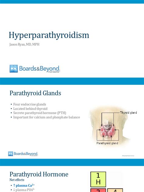 Hyperparathyroidism Atf Pdf Parathyroid Gland Endocrine System