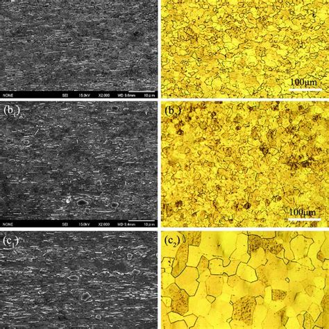 Microstructure Of A 1 C 1 Tic Tib Ti Composite And A 2 C 2