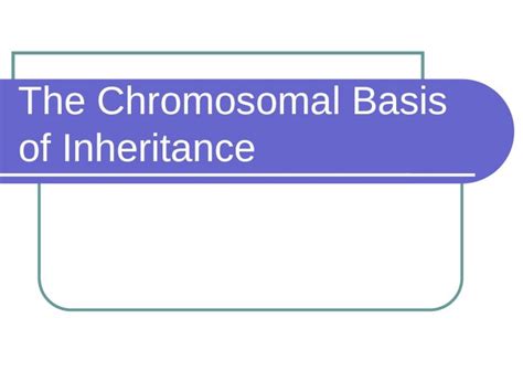 Pptx The Chromosomal Basis Of Inheritance Chromosomal Theory Of Inheritance Genes Are