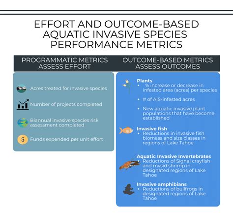 Programmatic And Outcome Based Metrics To Evaluate Progress Of Ais