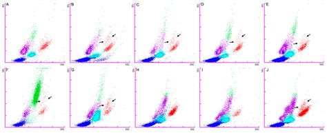 Characterization Of Feline Basophils On The Sysmex Xn 1000v And