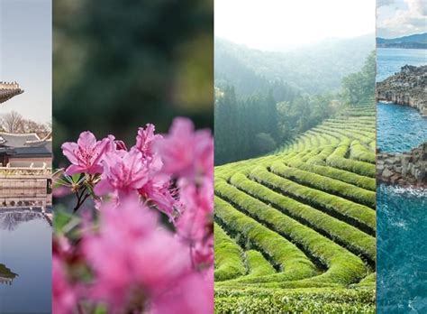 오즈투어 오즈투어 북미 캐나다 동부 토론토 한인 여행사