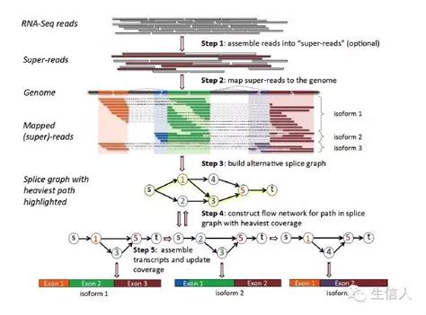 Stringtie 转录组分析软件介绍 Public Library Of Bioinformatics