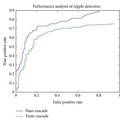 Calculation Of Summed Area Table Download Scientific Diagram