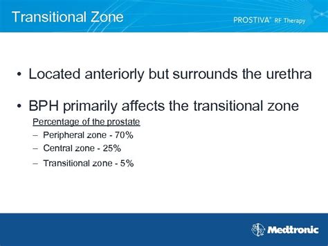 Anatomy And Physiology Nerve Supply To Prostate
