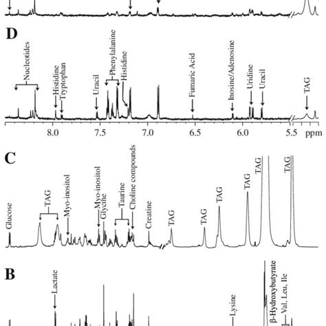 Stack Plot Of Typical 1 H Hr Mas Nmr Spectra Of A D Gbc B E Xgc And