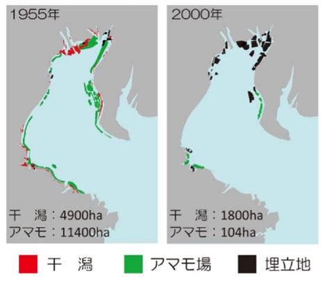 伊勢湾の環境生息地の環境伊勢湾環境データベース