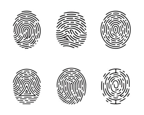 Six Different Fingerprint Patterns Isolated On White 60630995 Vector