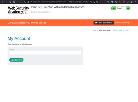 Advanced Sql Injection Attack Sqli Blind Sql Injection And Prevention