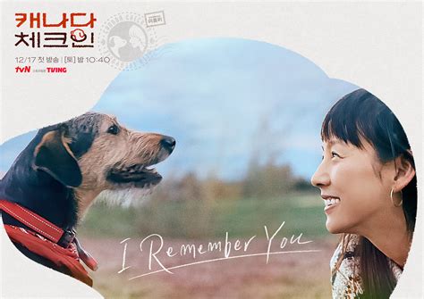 [cj Enm 엔터] Tvn 캐나다체크인 포스터 Cj미디어라이브러리