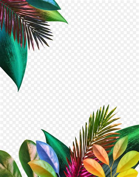 树叶，多种颜色，松叶，元素png图片素材下载图片编号11196336 Png素材网