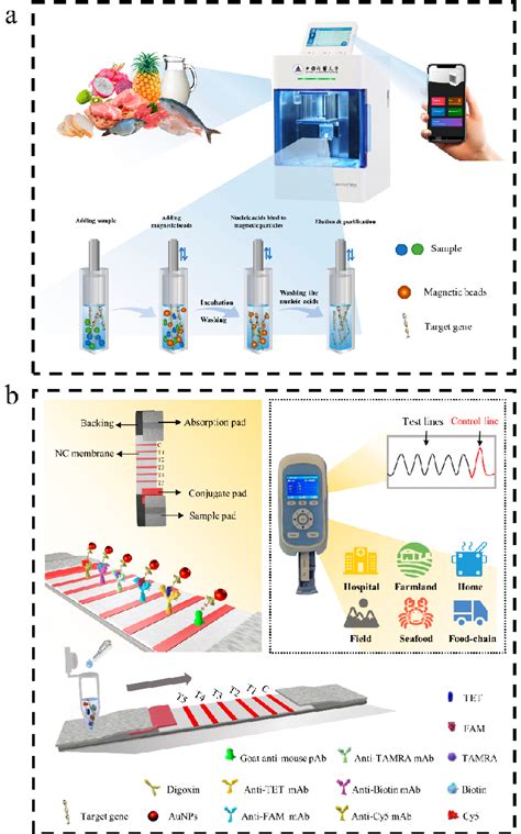 Figure 1 From Simultaneous Detection Of Five Foodborne Pathogens Using A Mini Automatic Nucleic
