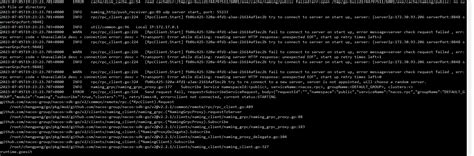 Nacos Client Sdk连不上nacos Server · Issue 198 · Zeromicrozero Contrib · Github