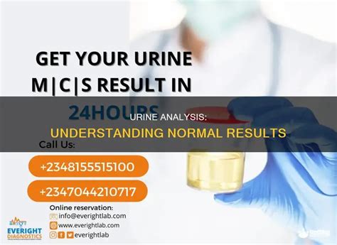 Urine Analysis Understanding Normal Results Medshun
