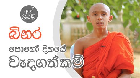 බිනර පොහෝ දිනයේ වැදගත්කම් පූජ්‍ය අරණායක චන්දානන්ද හිමි අපේ පිංබිම Youtube