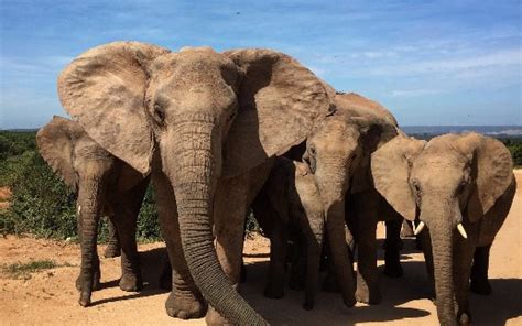 4 Big Gitops Moments Of 2021